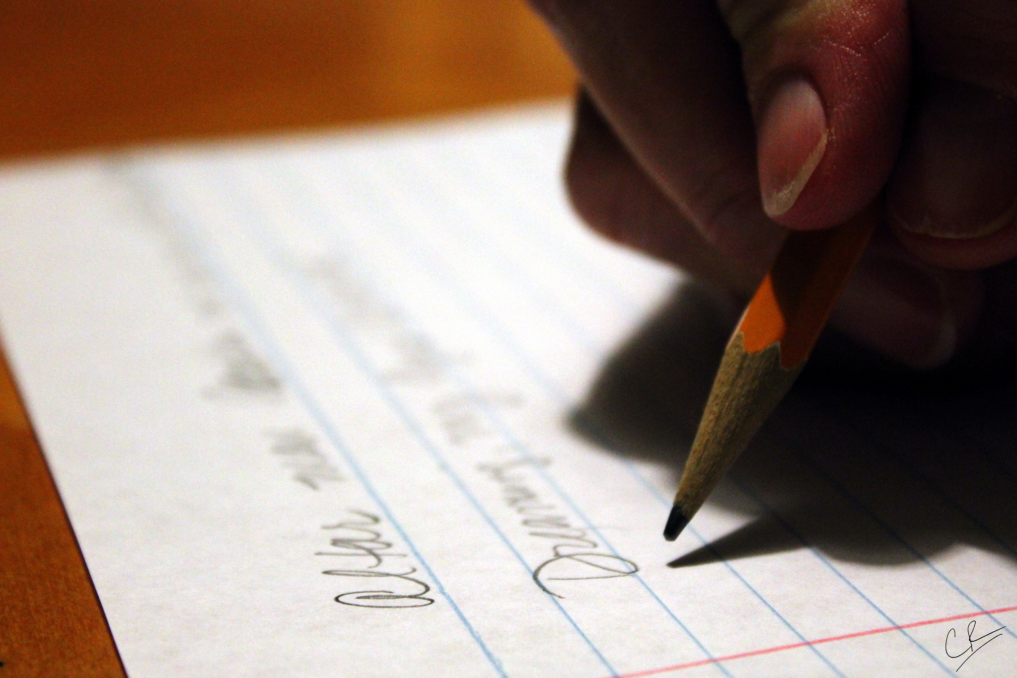 Ielts Essay Writing Task 1 Chart
